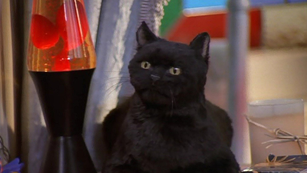 Famous animals in science fiction and fantasy – SFFdirect